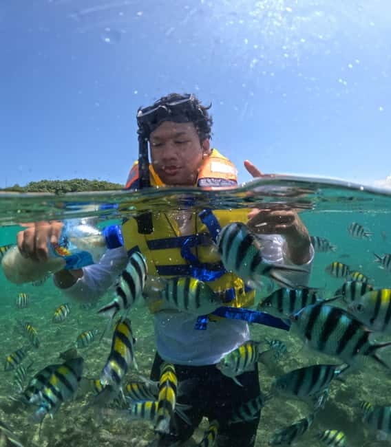 Explore and snorkeling Gili Nanggu Secret Island - An In-Depth Look at the Tour Experience