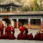 Explore Dharamshala's monasteries for Tibetan spirituality - What Travelers Are Saying