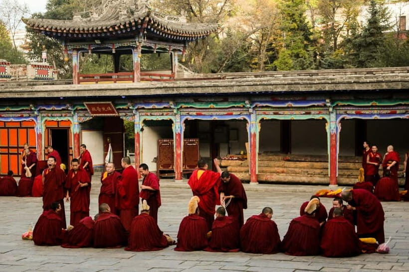Explore Dharamshala's monasteries for Tibetan spirituality - What Travelers Are Saying