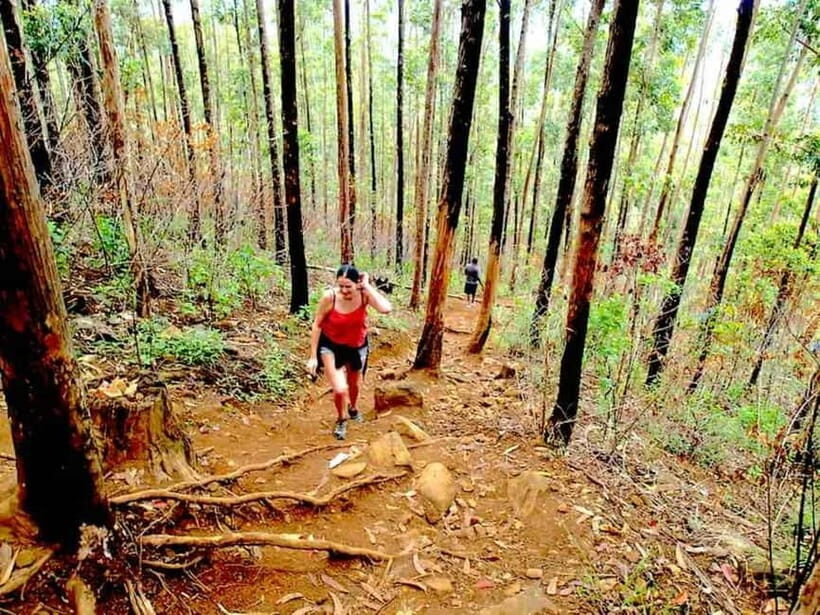 Explore Ella: Rock Hike, Loop, Falls, Nine arch & Train View - Real Traveler Insights