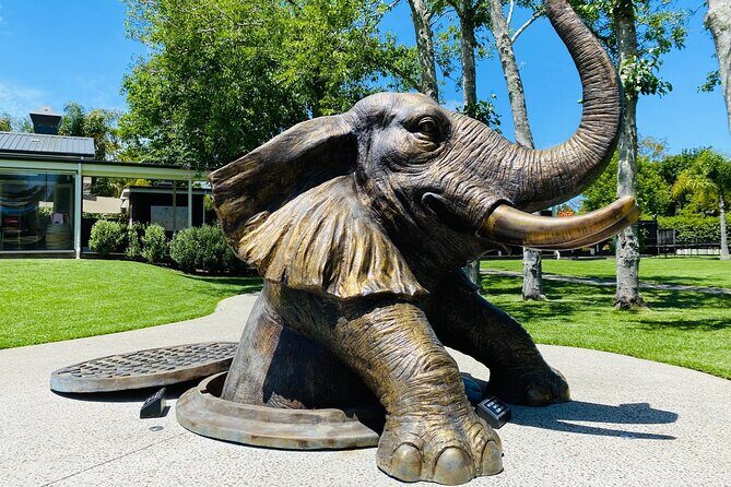 Explore gardens & galleries filled with incredible art, Matakana - The Practicalities: What to Expect