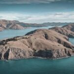 Explore Godley Head, Lyttelton & Christchurch (Small Group Tour) - What Travelers Have Said
