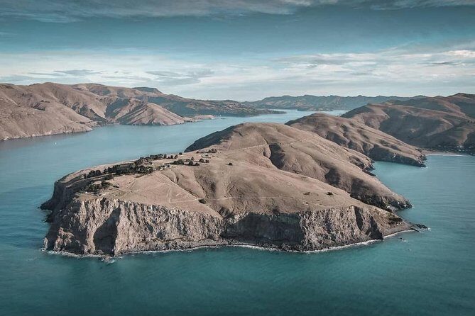 Explore Godley Head, Lyttelton & Christchurch (Small Group Tour) - What Travelers Have Said
