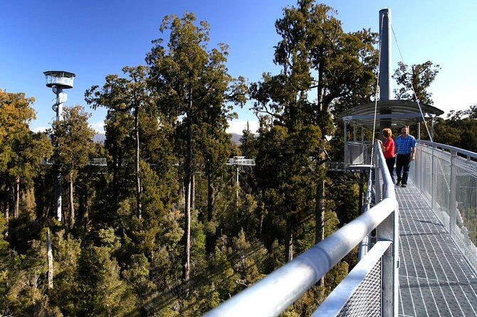 Explore Hokitika Gorge and Tree Top Walkway - The Sum Up: Why This Tour Is a Great Choice