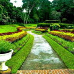 Explore Kandy & Nuwara Eliya in 2 days - A Deep Dive into the 2-Day Itinerary