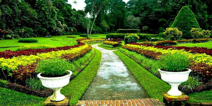 Explore Kandy & Nuwara Eliya in 2 days - A Deep Dive into the 2-Day Itinerary