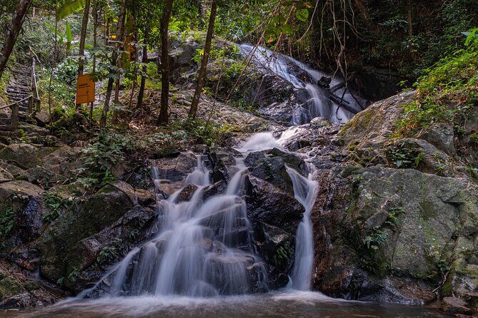 Explore Mae Kampong Village from Chiang Mai City - A Closer Look at the Tour Itinerary