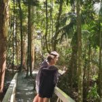 Explore Mt Tamborine from Gold Coast - Transportation and Group Size