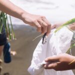 Explore old-fashioned Polynesian life and prepare a local meal - Who Will Enjoy This Tour?