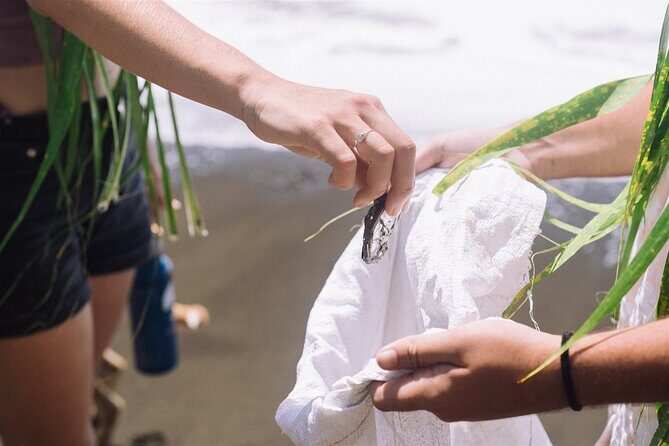 Explore old-fashioned Polynesian life and prepare a local meal - Who Will Enjoy This Tour?