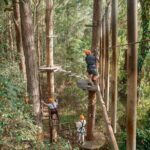 Explore Ourimbah State Forest Tree Ropes Course - The Sum Up