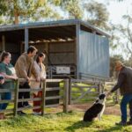 Explore Phillip Island from Melbourne with Penguin Parade - Summary
