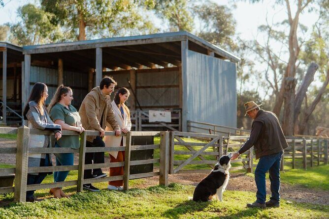 Explore Phillip Island from Melbourne with Penguin Parade - Summary