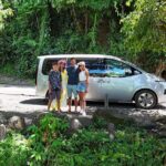 Explore Tahiti in depth in a day - Who will love this tour?
