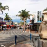 Explore Tauranga: Self-Guided Audio Tour - Final Thoughts: Is It Worth It?