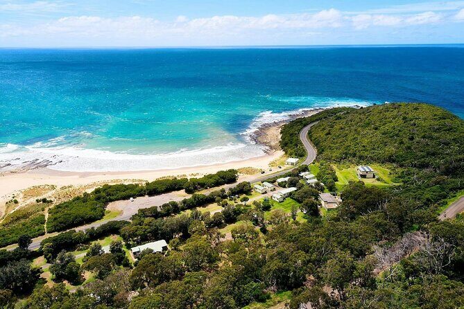 Explore the Great Ocean Road a Coastal Adventure - Why This Tour Offers Good Value