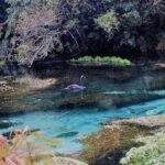Explore The Lakes Tour - Who Should Consider This Tour?