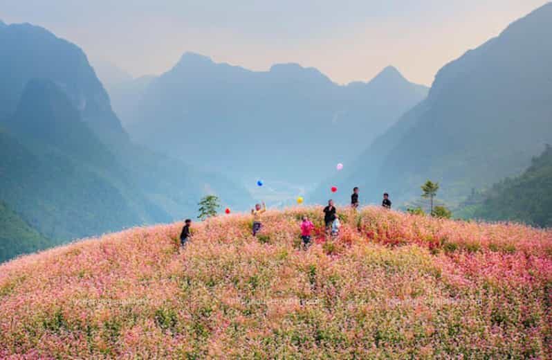 Explore the majestic Ha Giang with direct bus from Ha Noi - Who Will Love This Experience?