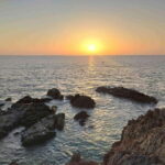 Explore The North Goa Full-Day City Sightseeing Tour - Transportation and Practicalities