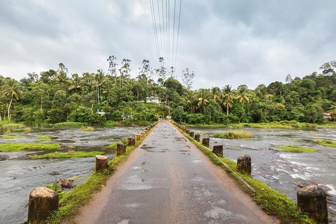 Explore The Rustic Life Of Thekkady With Lunch - Who Will Love This Tour?
