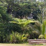 Explore the Wonders of New Caledonia from Noumea Cruise Terminal - What Travelers Say