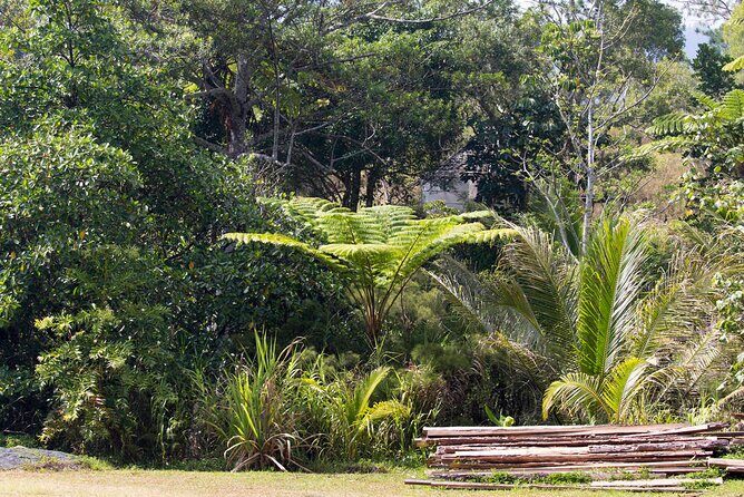 Explore the Wonders of New Caledonia from Noumea Cruise Terminal - What Travelers Say