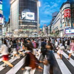 Explore Tokyos Top Sights & Cultural Gems on a Private Tour - The Value of This Tour