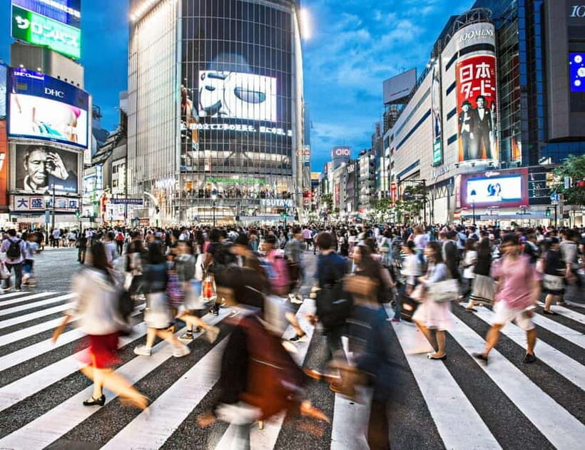 Explore Tokyos Top Sights & Cultural Gems on a Private Tour - The Value of This Tour
