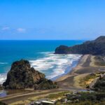 Explore West Auckland with Winery - Who Will Enjoy This Tour Most?
