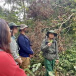 Exploring Don Village & Yok Don National Park - The Value and Considerations