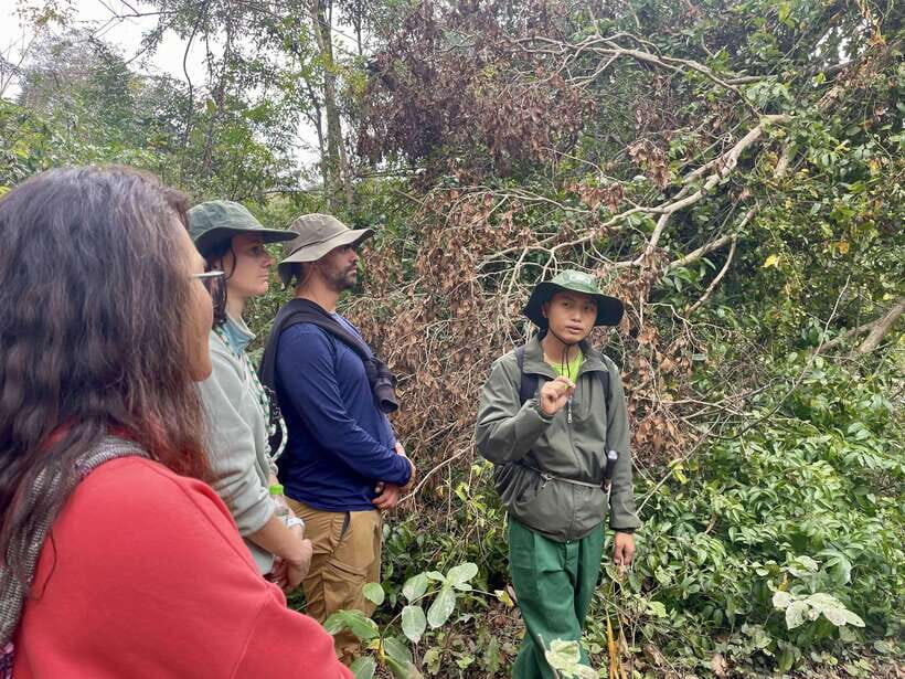 Exploring Don Village & Yok Don National Park - The Value and Considerations