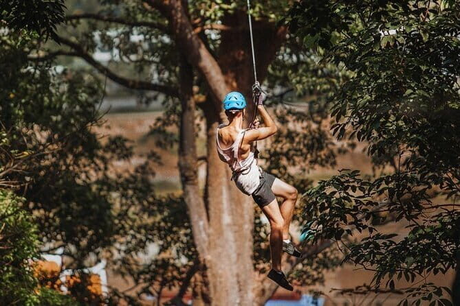 Extreme 65 Platforms Jungle Zipline Adventure Park - The Experience: What Travelers Can Expect