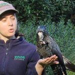 Family Day in the Yarra Valley Private Experience - What Makes This Tour Special?