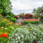 Family Private Walking Tour of Adelaides Rich History - Starting Point: The Adelaide Botanic Garden