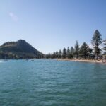 Family Surfing Lesson in Mount Maunganui - What to Expect from Your Family Surfing Lesson
