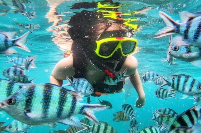 Famous Six Island Snorkeling Trip from Ko Samet - What’s in Store on the Tour?