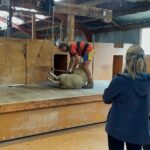 Farm and Wine Experience Half Day in Queenstown, Central Otago. - The Sum Up