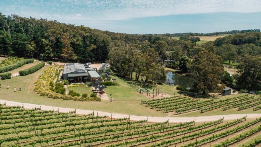 Farm Picnic for 2 adults - Final Thoughts