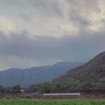 Farm to Table: With a local farmer family - The Sum Up