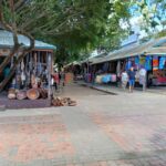 Fiji: Discover Nadi with Sabeto Hotspring and Mudpool Tour - The Mud Pool and Hot Springs Experience