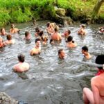 Fiji: Tifajek Mud Pool & Hotspring Tours & Tickets - What to Expect During Your Visit