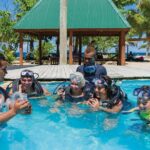 Finding Nemo - Half Day Cruise to South Sea Island - Frequently Asked Questions