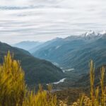 Fiordland: Routeburn Track and Key Summit Guided Day Walk - What Makes This Tour Special?