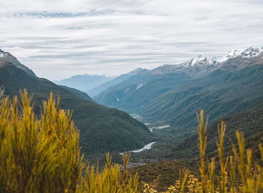 Fiordland: Routeburn Track and Key Summit Guided Day Walk - What Makes This Tour Special?