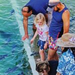 Fish Feeding Activity in Darwin - Authentic Insights from Visitors
