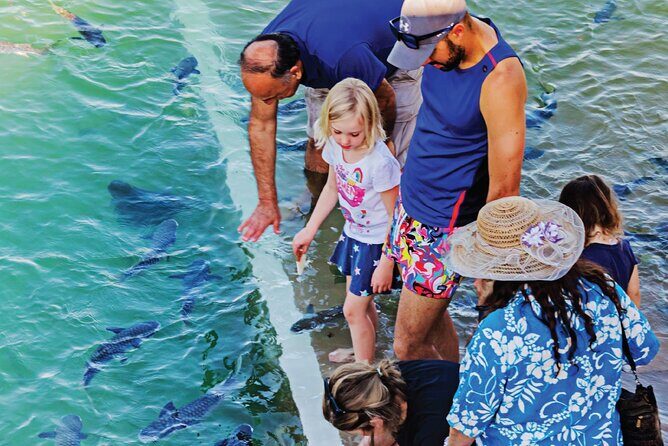 Fish Feeding Activity in Darwin - Authentic Insights from Visitors
