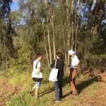 Fishermans Paradise Eco-walk - What to Expect During the Tour