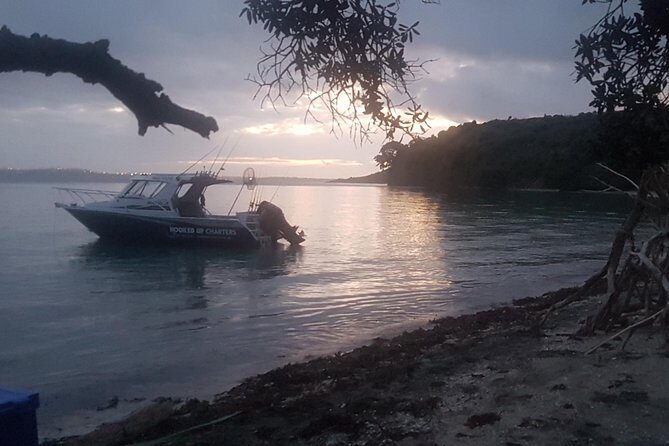 Fishing and Sightseeing Boat Charter - What to Expect on the Trip