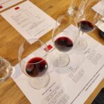 Flavours of the Barossa: Wine, Chocolate & Maggie Beer - Who Will Love This Tour?