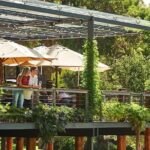 Flight to Leeuwin Winery for Lunch - Why This Tour Offers Great Value